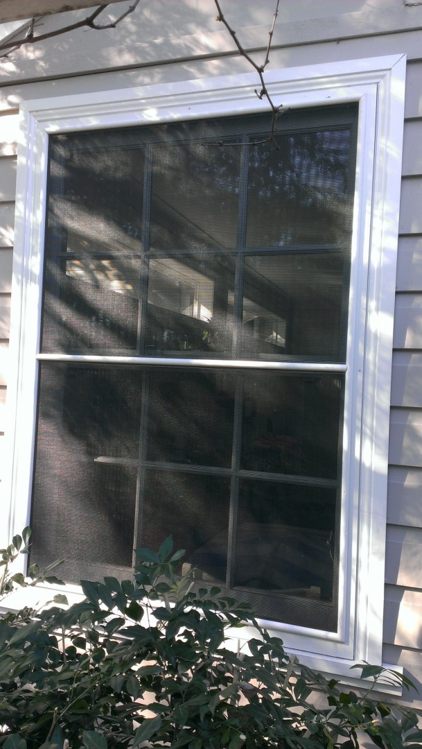 Photo Gallery of Our Timber Screen Doors